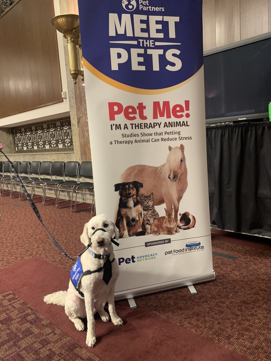 Meet the Pets 2023 Brings Furry Stress Relief Back to Capitol Hill ...